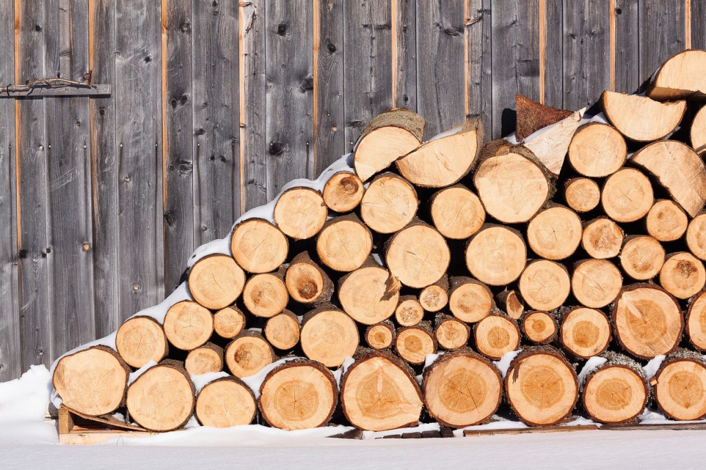 Know Your DIY: The Essential Guide to Types of Timber - eDecks Blog