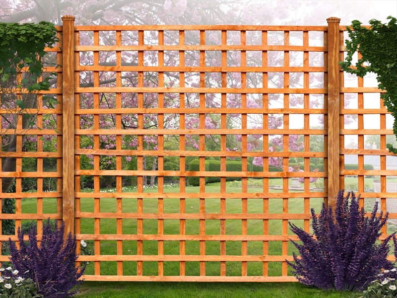 Square Trellis (6' x 6')